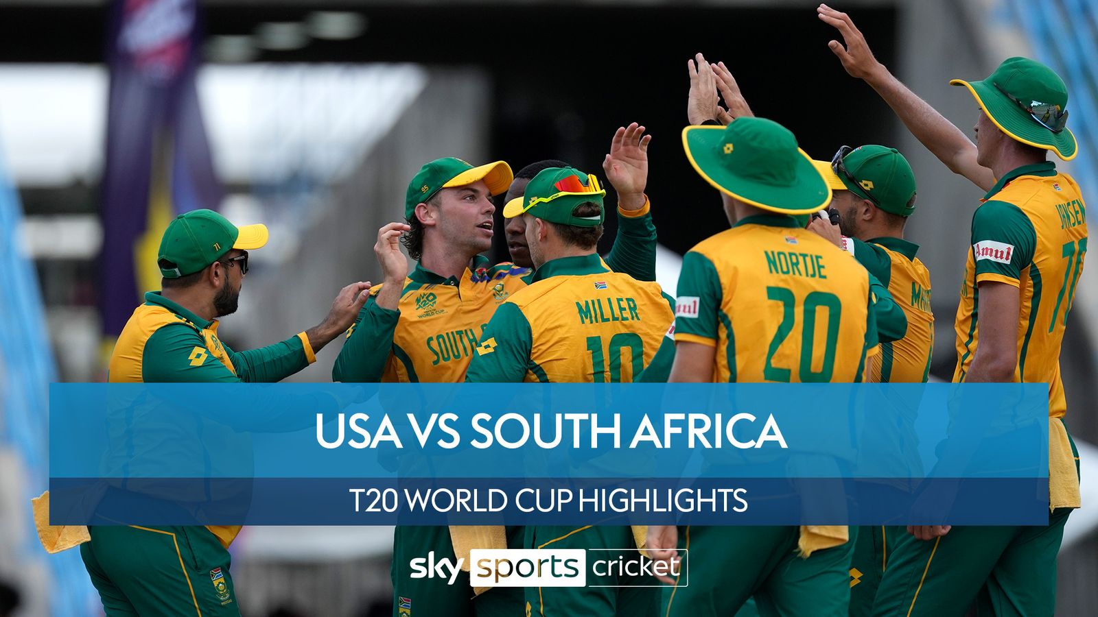 USA vs South Africa: Andries Gous's unbeaten 80 in vain as co-hosts ...