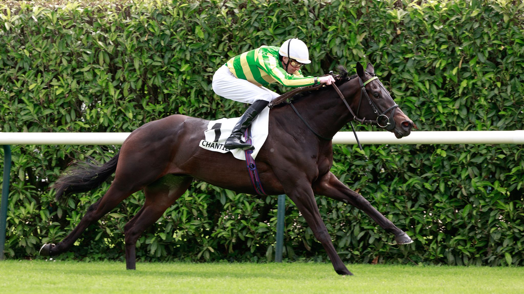 Look De Vega remains unbeaten in three seizing French Derby glory for ...