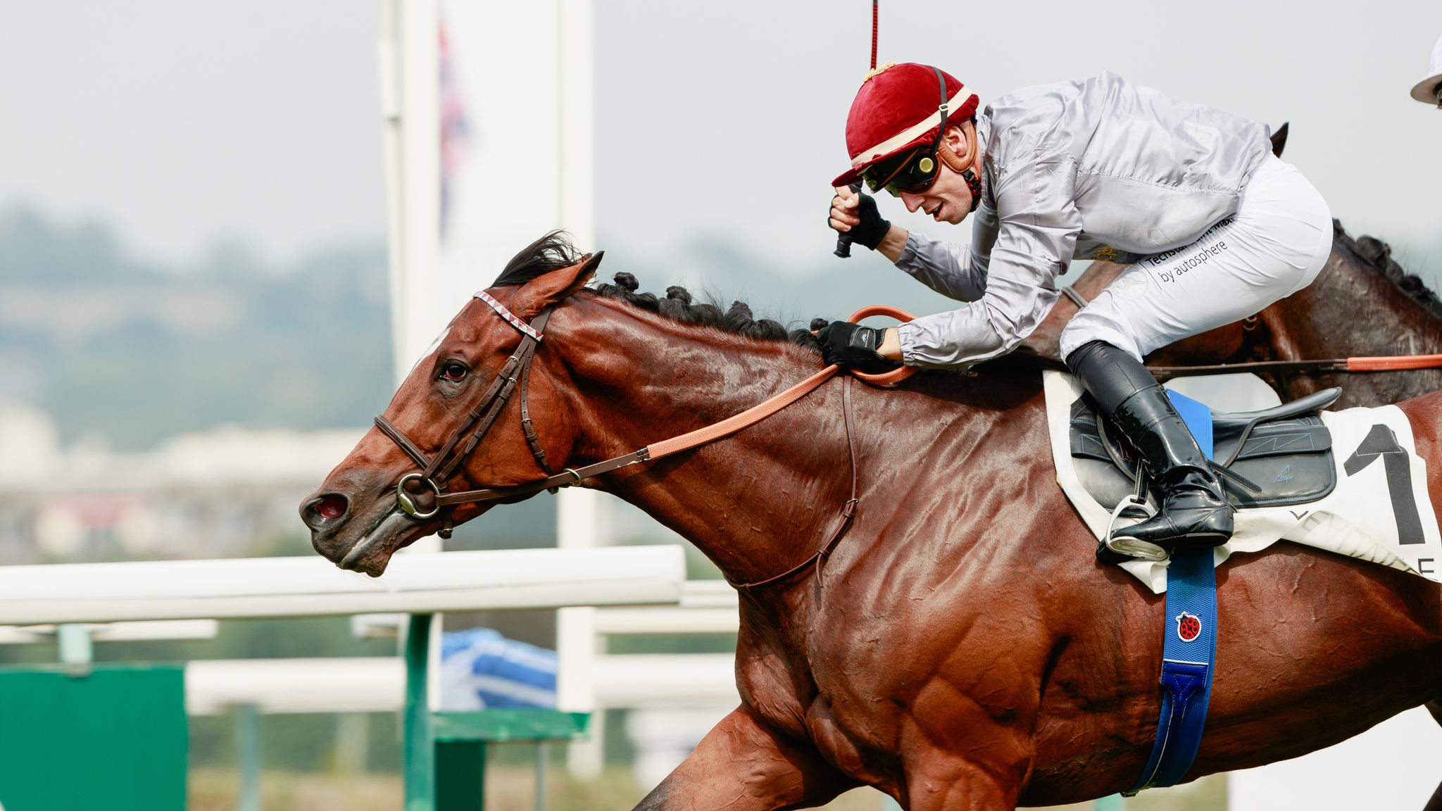 Today on Sky Sports Racing: Al Hakeem clashes with Birr Castle for ...