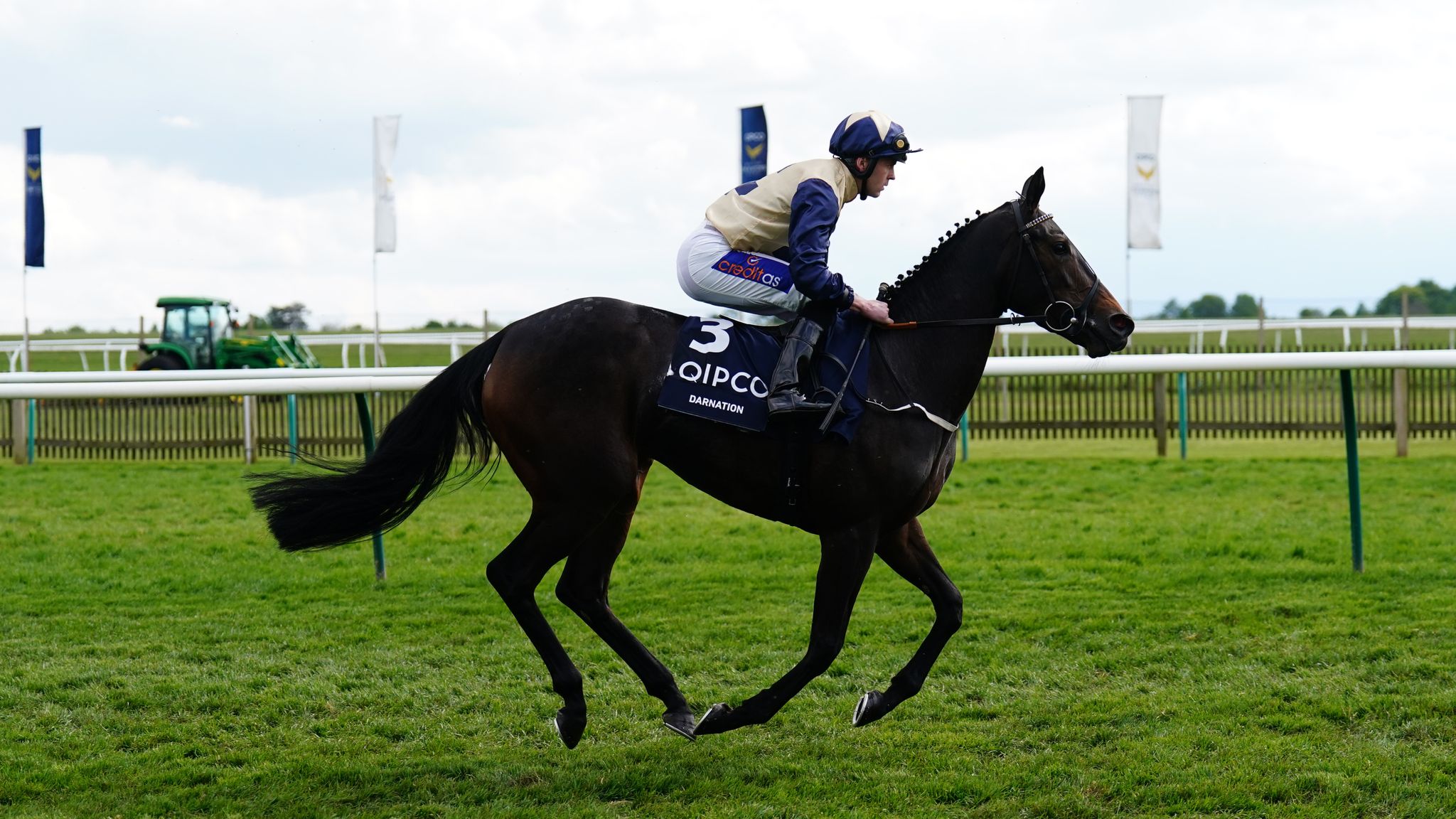 Today on Sky Sports Racing: German guineas star Darnation eyes Hoppings ...