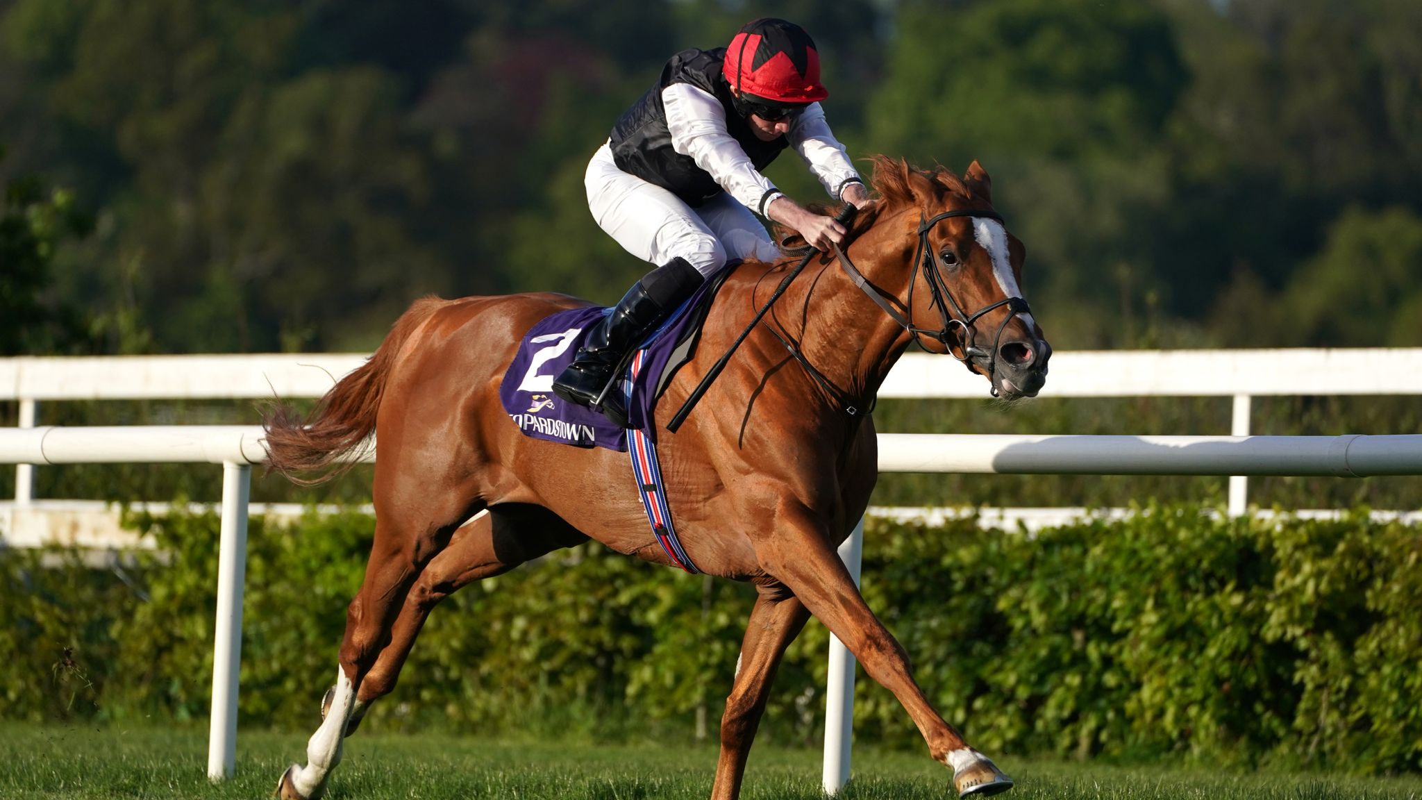 Royal Ascot: Kyprios clashes with Gregory in Gold Cup tussle | Racing ...