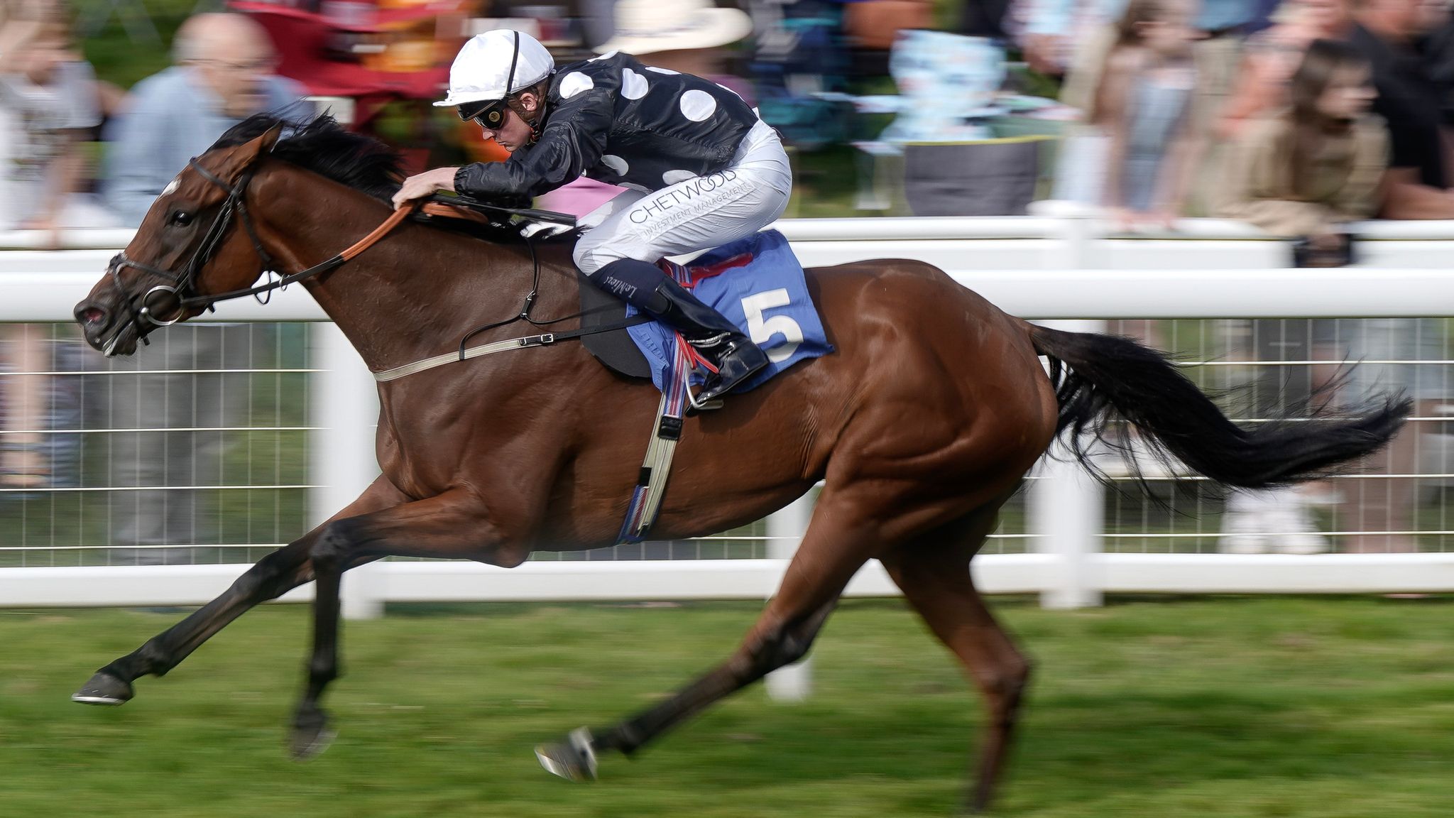 Weekend Winners: Mistral Star fancied in Lester Piggott Fillies' Stakes ...