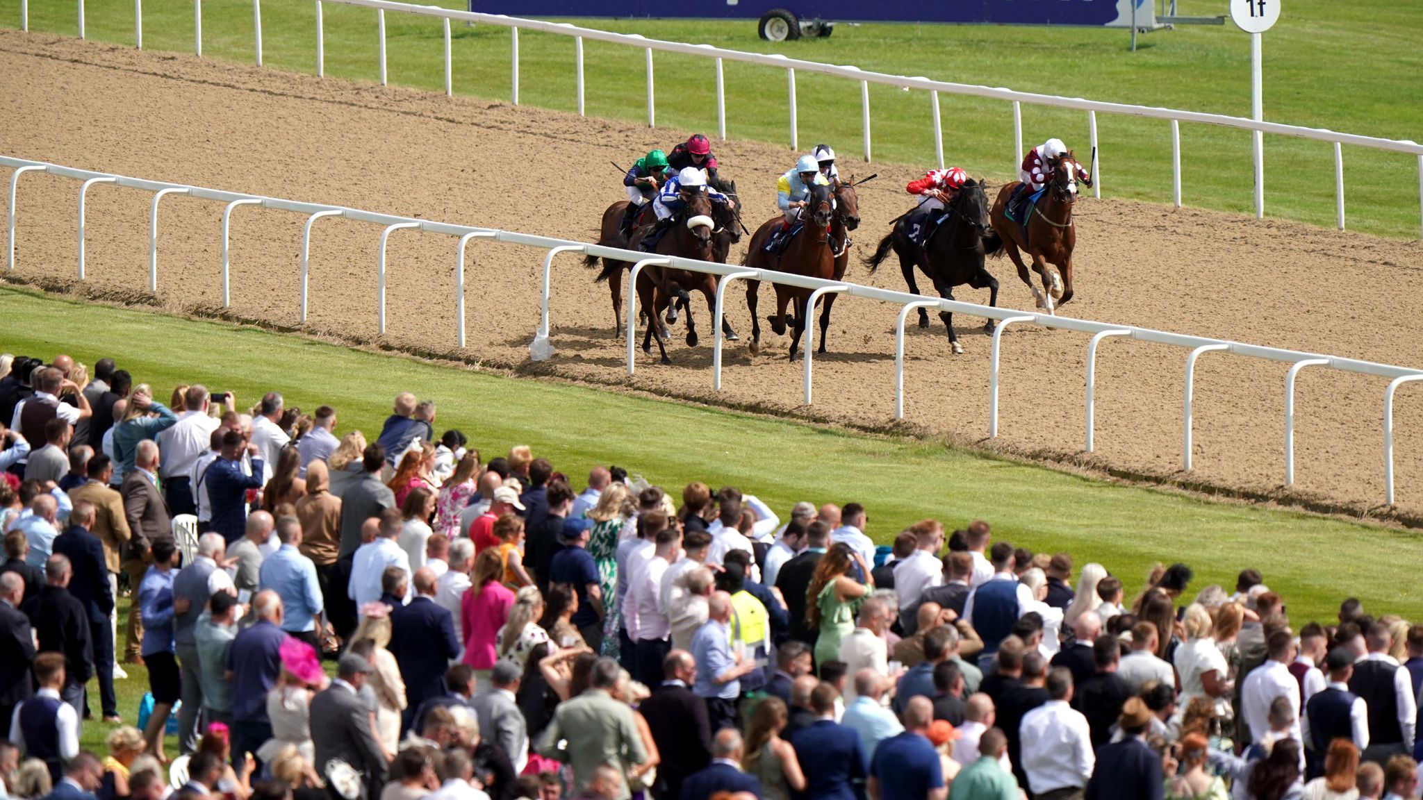 Friday tips: Horses to follow on day three at Newcastle | Racing News ...