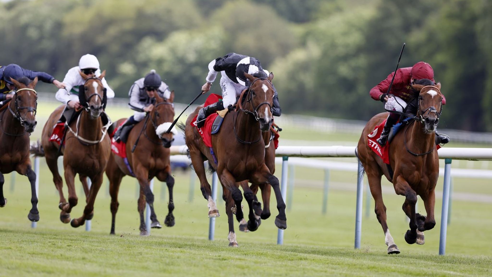 Queen Of The Pride does parents proud with Lester Piggott triumph at ...