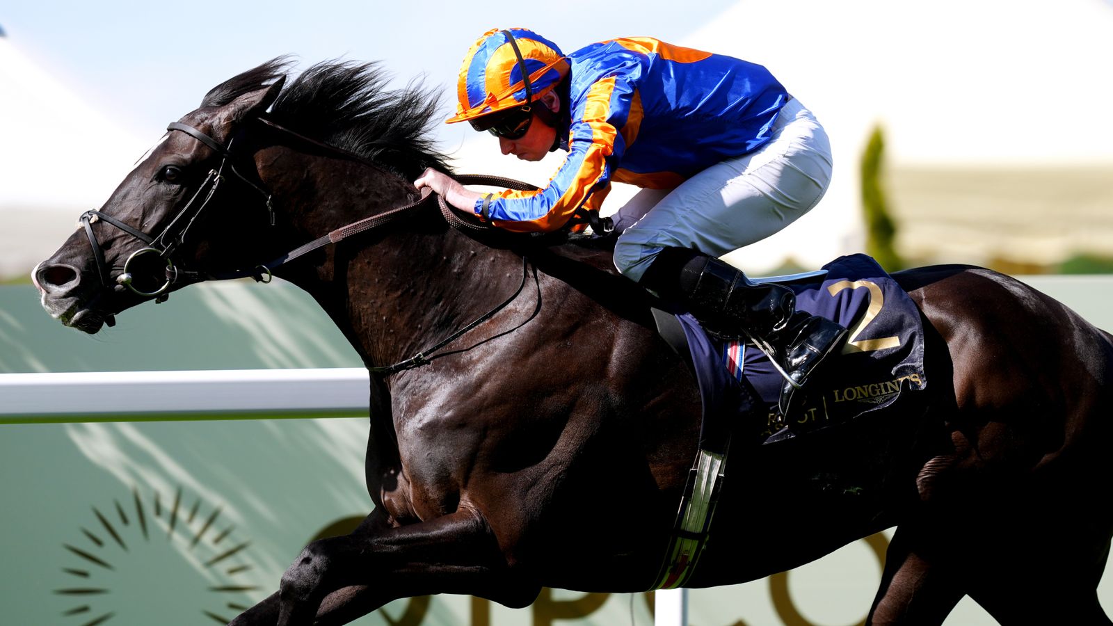 Ascot: Freddy Tylicki's horse-by-horse guide to King George VI | Racing ...