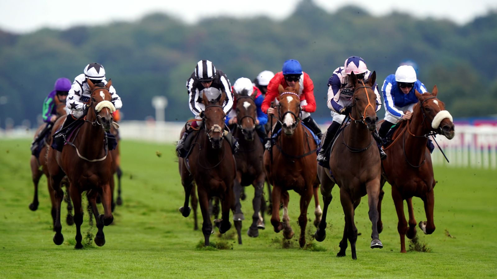 Hollie Doyle's blog: Trueshan can repeat Goodwood Cup magic | Racing ...