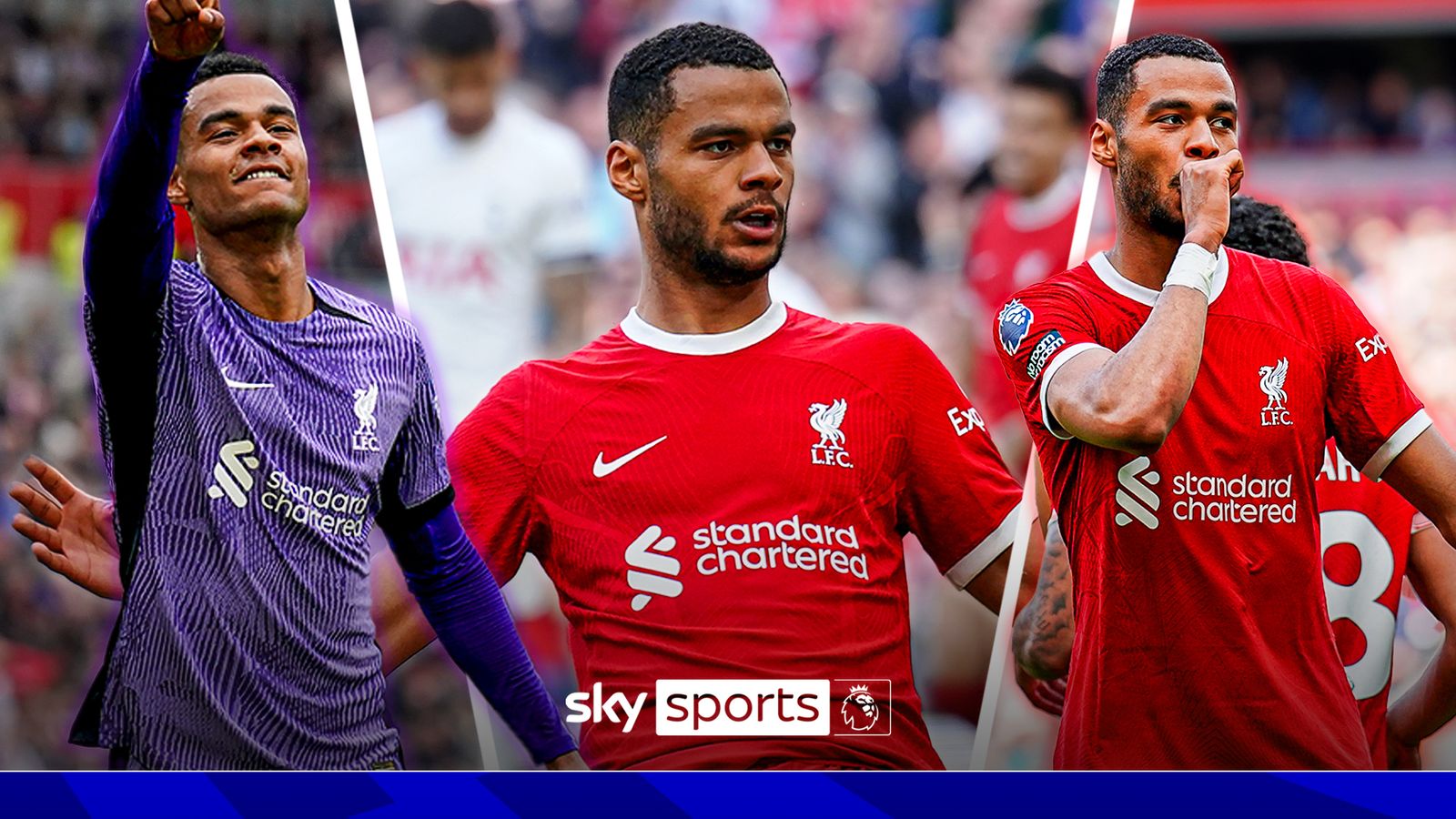 Cody Gakpo: How Liverpool forward developed into crucial figure for ...