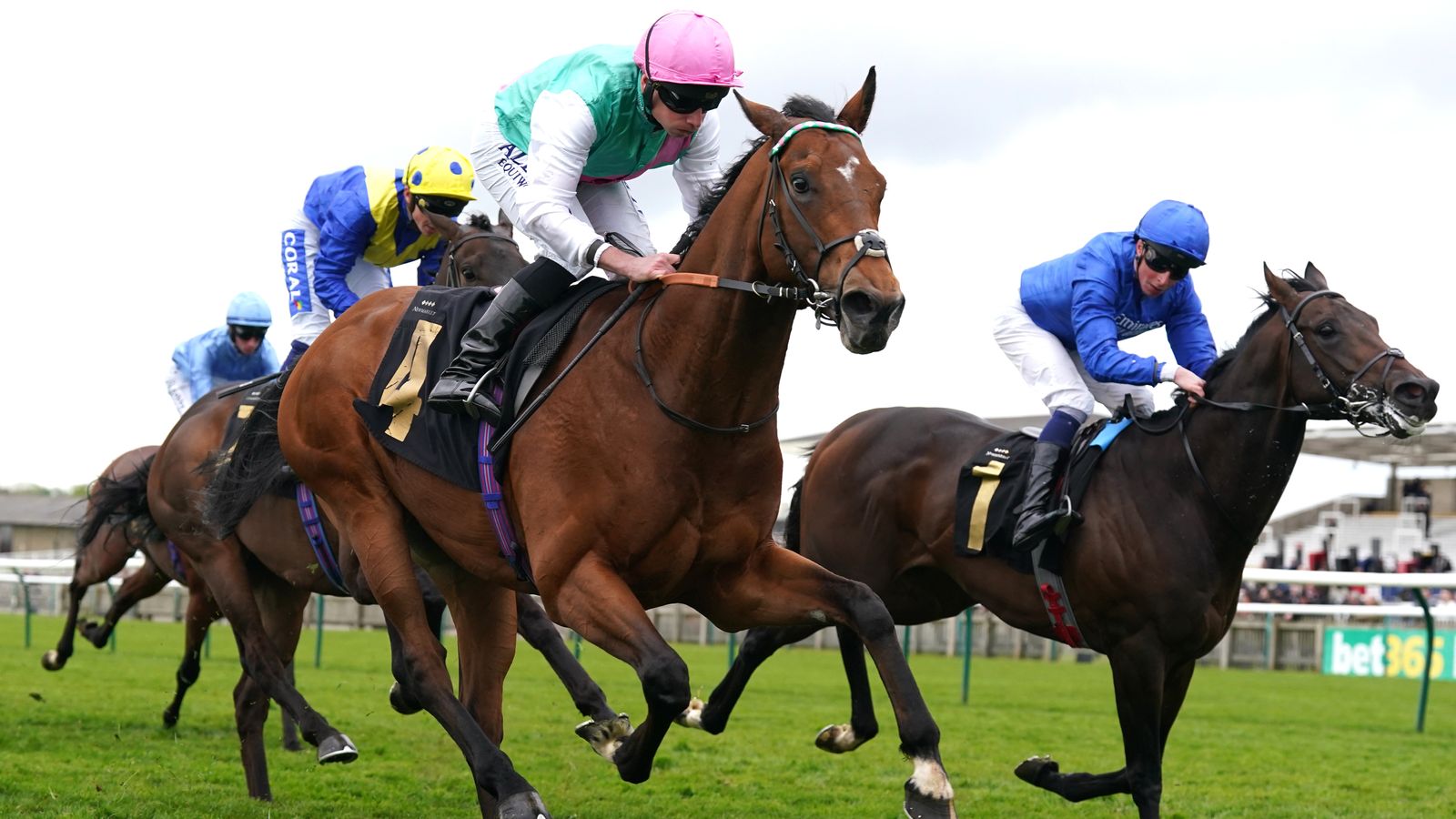 Weekend Winners: Hungerford Stakes best bets ahead of Newbury's ...