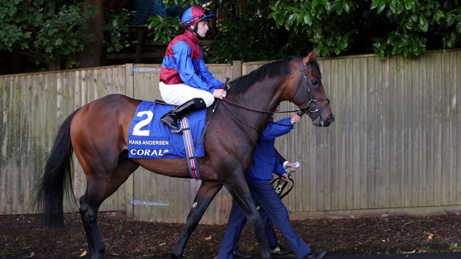 Ascot: Freddy Tylicki's horse-by-horse guide to King George VI | Racing ...