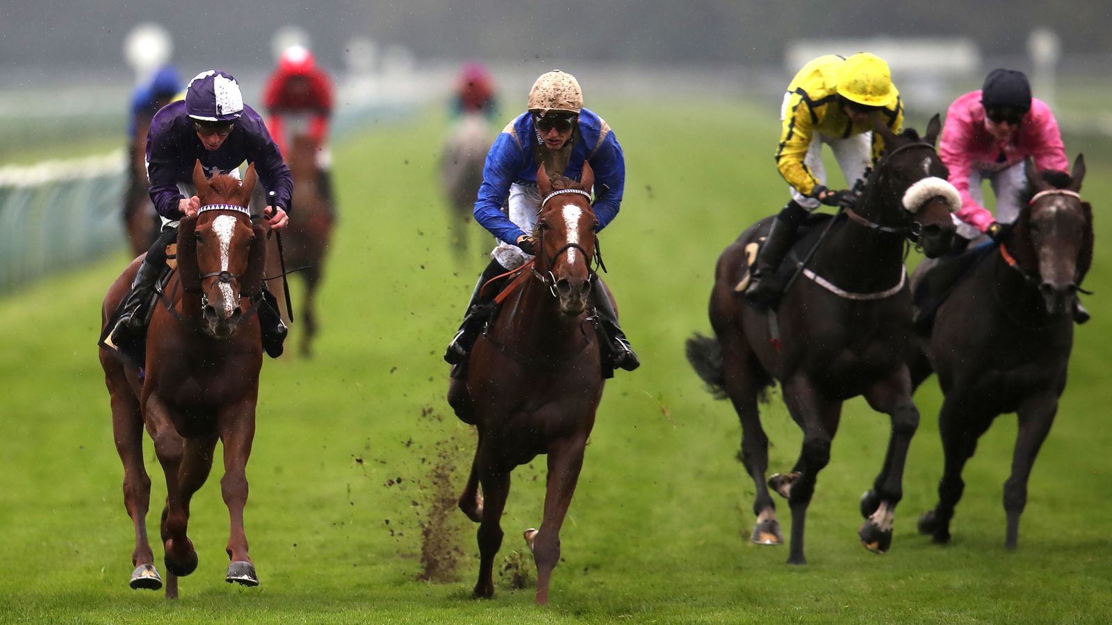 Saturday racing tips: Sonny Liston fancied to see off Quddwah at Ascot ...