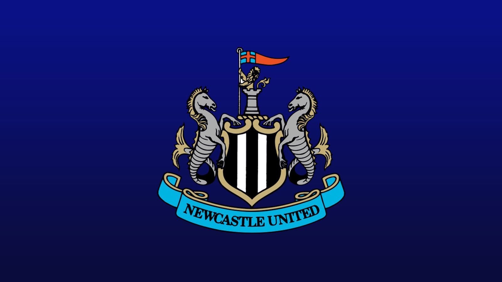 Newcastle top scorers 2024/25 | Football News | Sky Sports