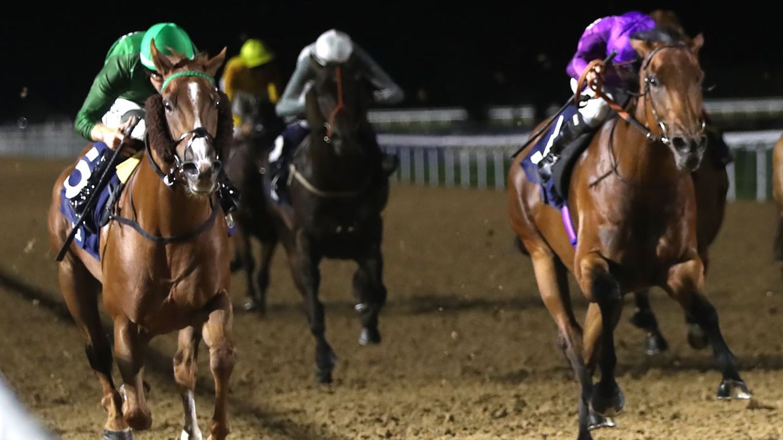 Racing League: Five horses to follow in week one | Racing News | Sky Sports