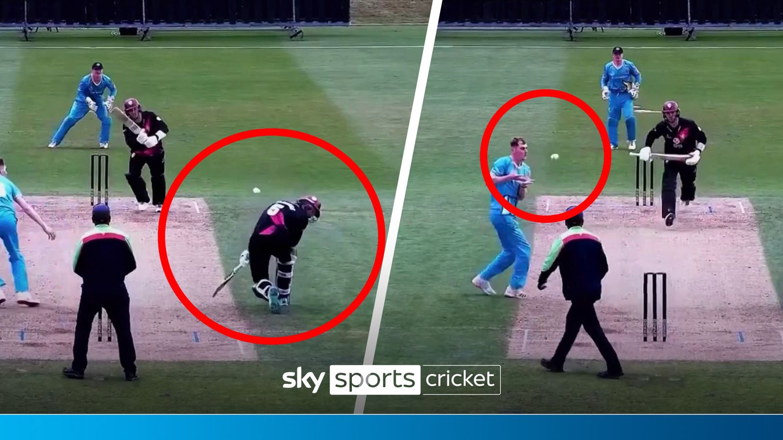 Most bizarre wicket ever? Somerset player hilariously caught off of ...