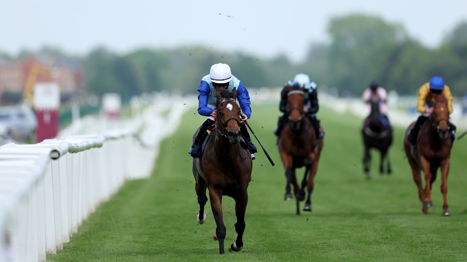 Saturday racing tips: Sonny Liston fancied to see off Quddwah at Ascot ...