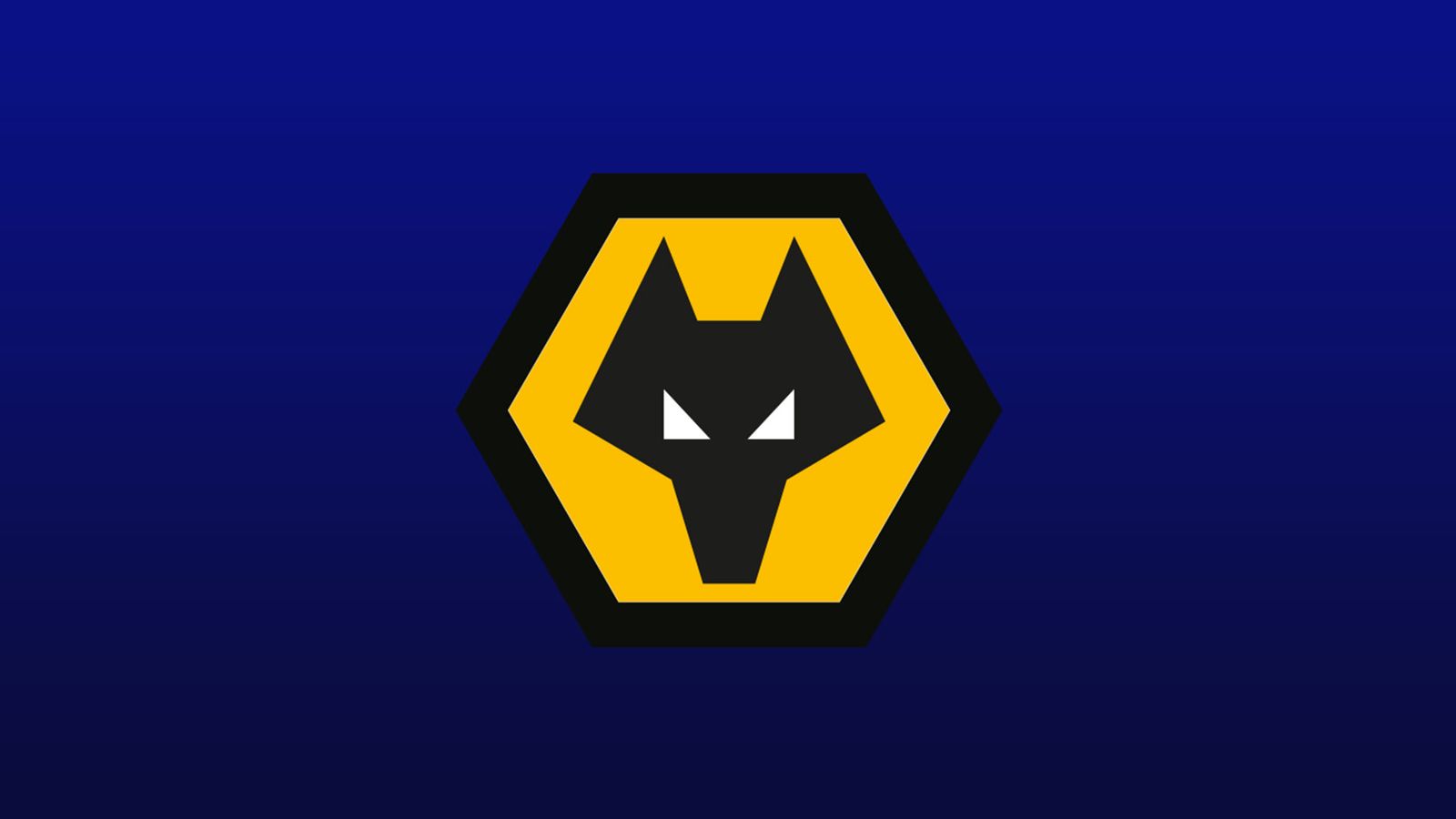 Wolves top scorers 2024/25 | Football News | Sky Sports