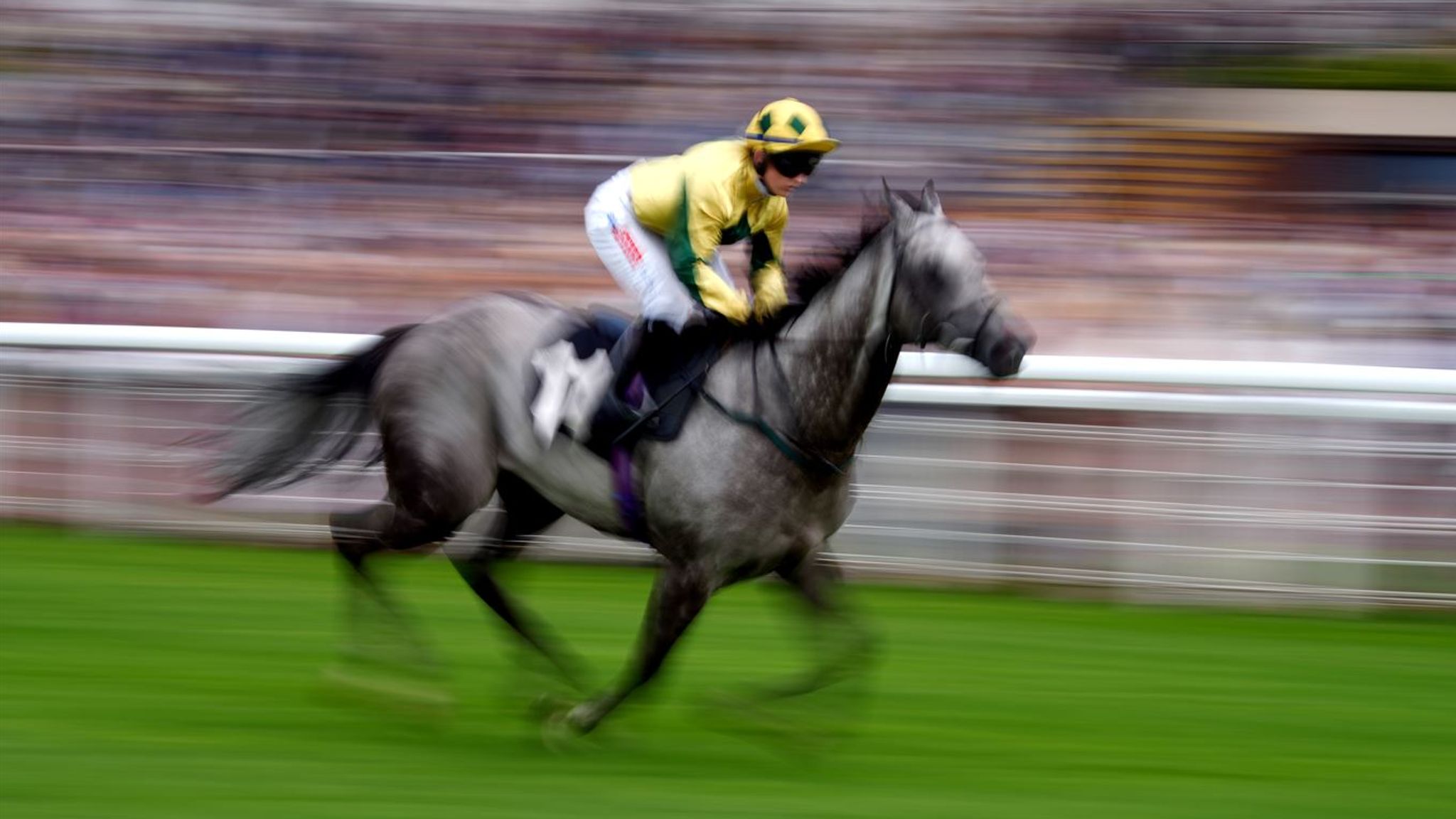 Hollie Doyle's blog: Trueshan can repeat Goodwood Cup magic | Racing ...