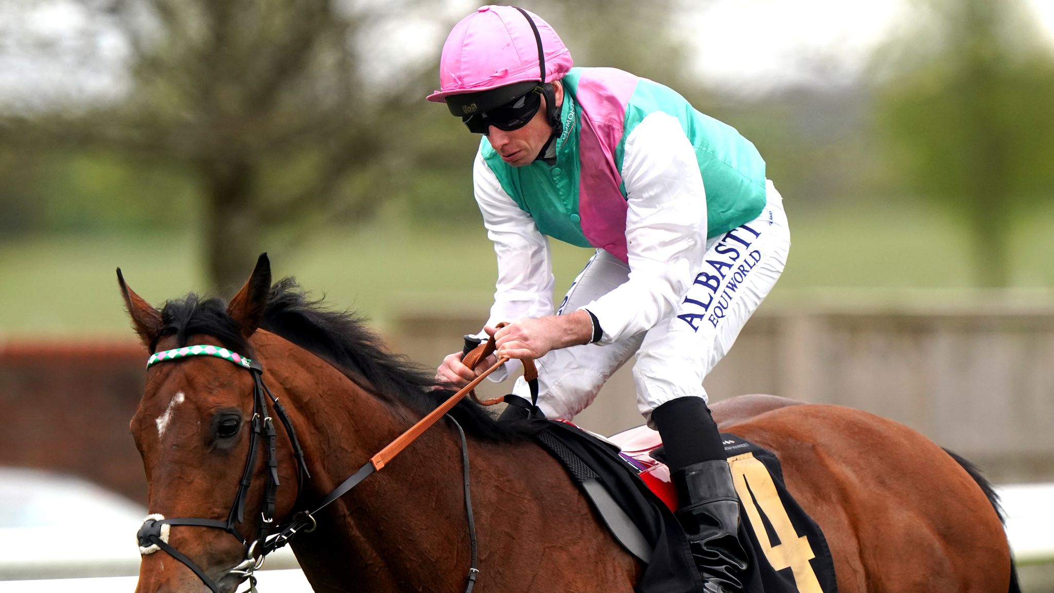 Today on Sky Sports Racing: Well-bred Kikkuli seeks Group One glory at ...