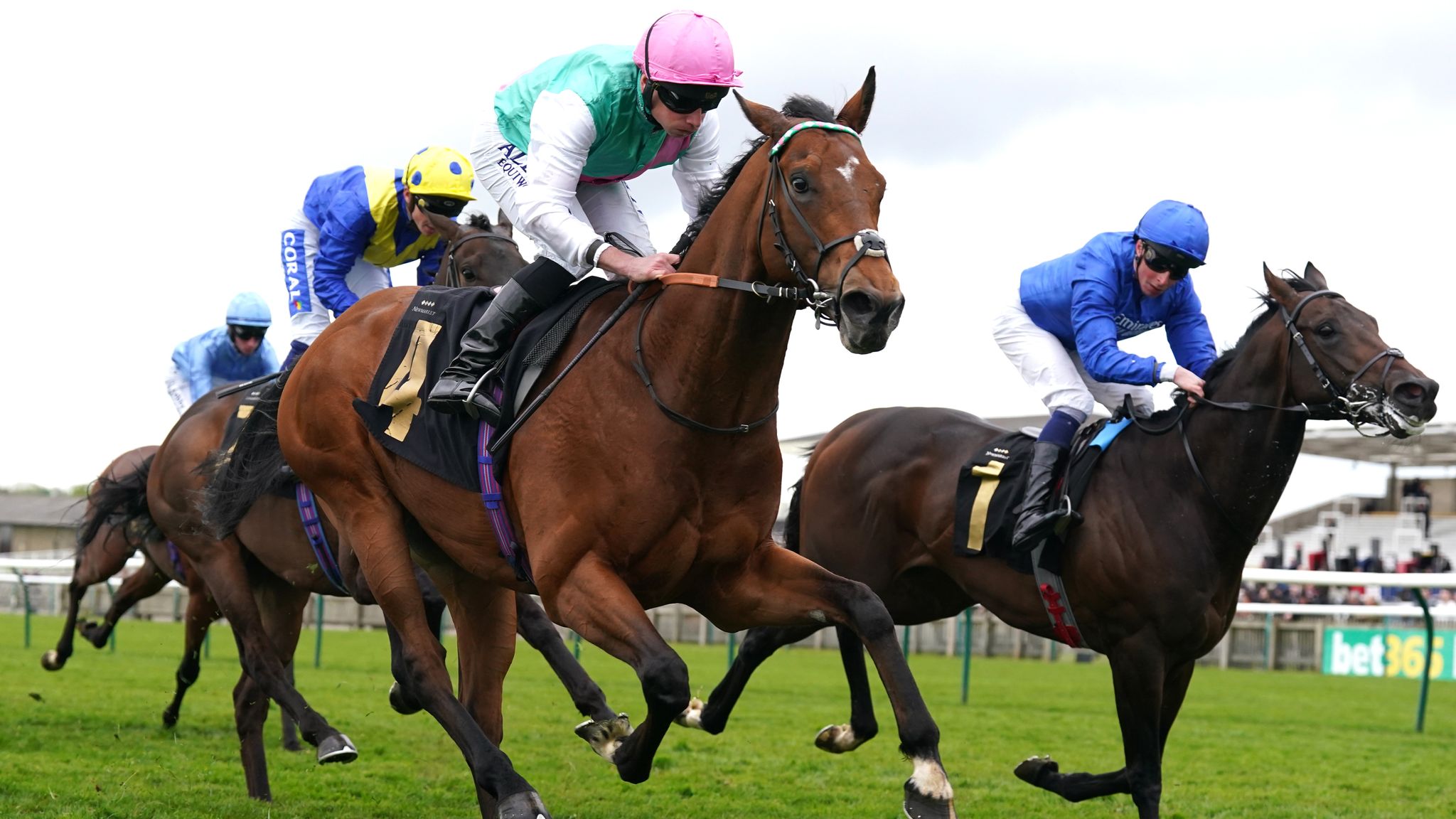 Weekend Winners: Hungerford Stakes best bets ahead of Newbury's ...