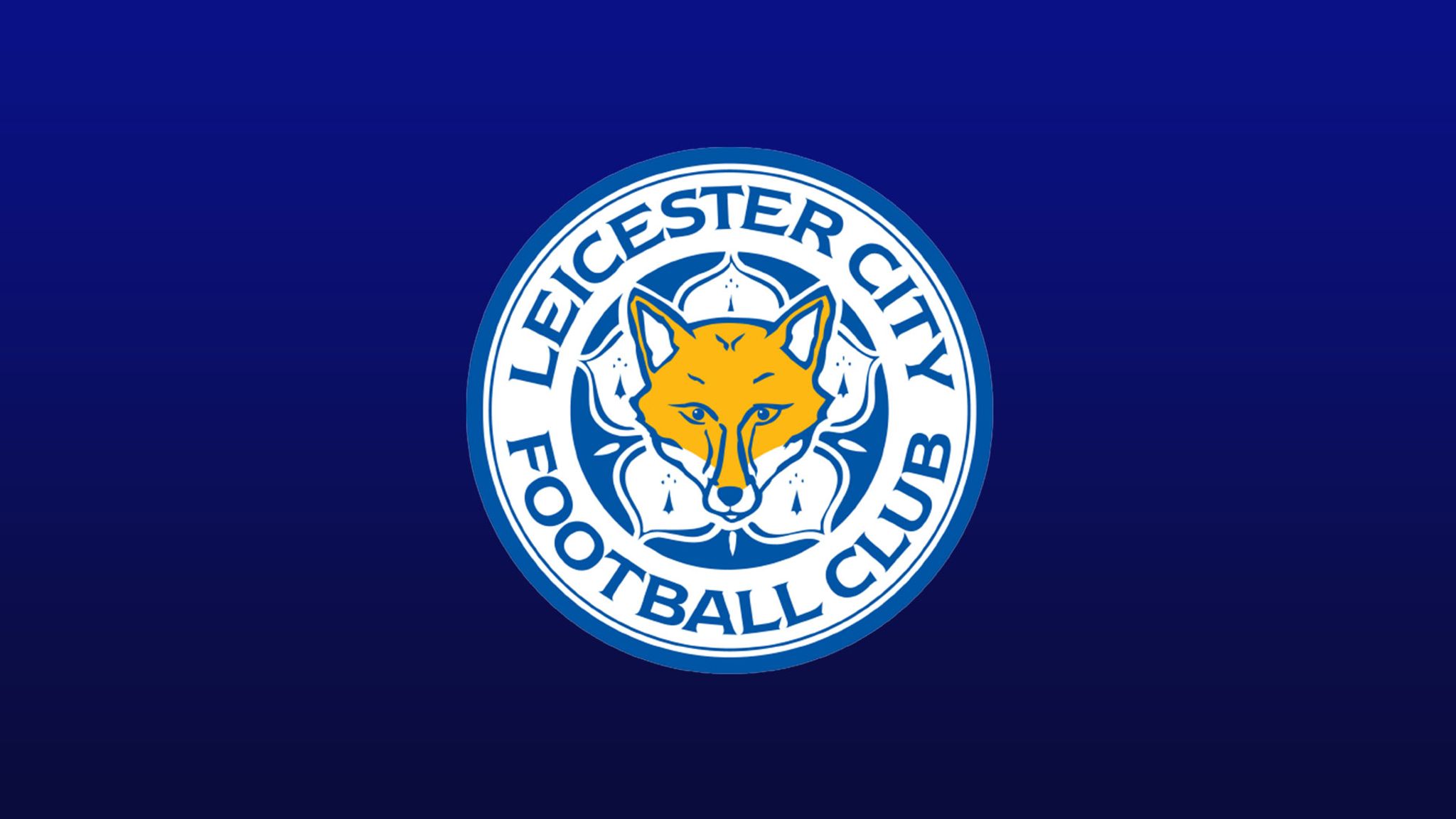 Leicester City top scorers 2024/25 | Football News | Sky Sports