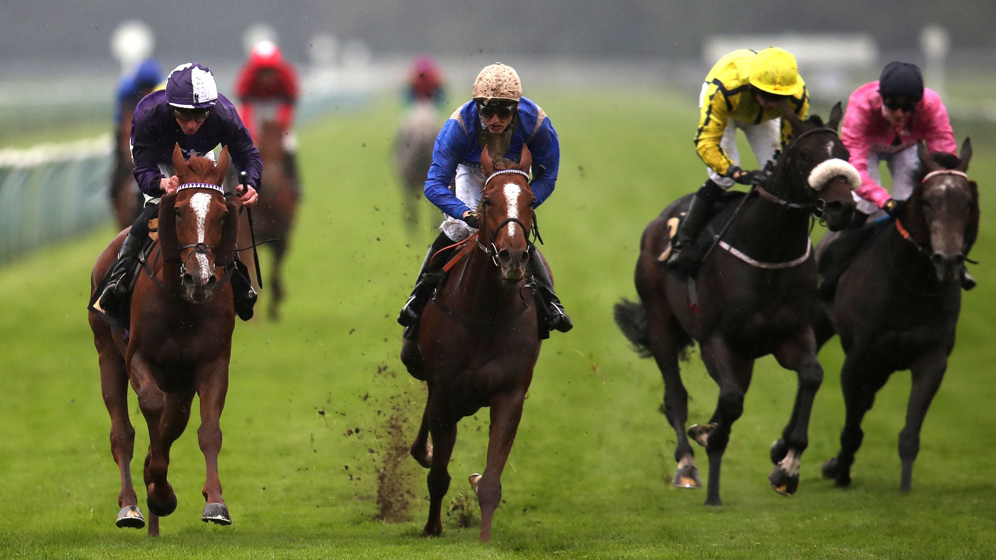 Saturday racing tips: Sonny Liston fancied to see off Quddwah at Ascot ...