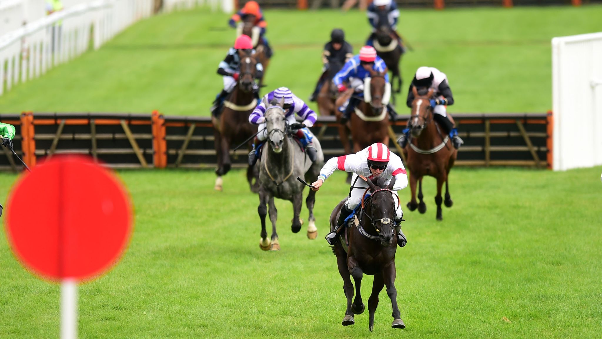 Today on Sky Sports Racing: Newton Abbot hosts seven-race card | Racing ...
