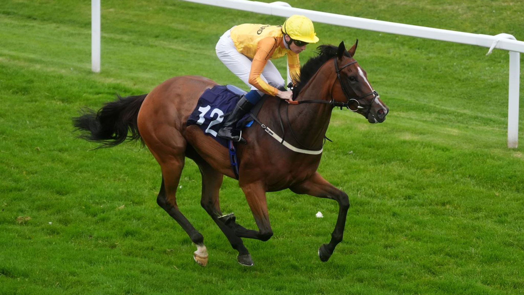 Racing League: Callum Shepherd shines at Yarmouth as East set early ...