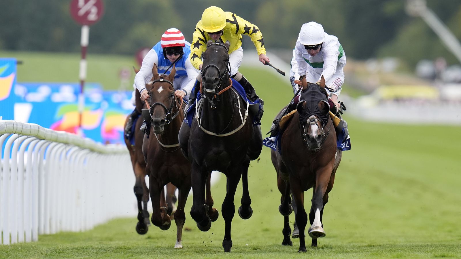 Racing round-up: Charlie Johnston considering York trip before St Leger ...