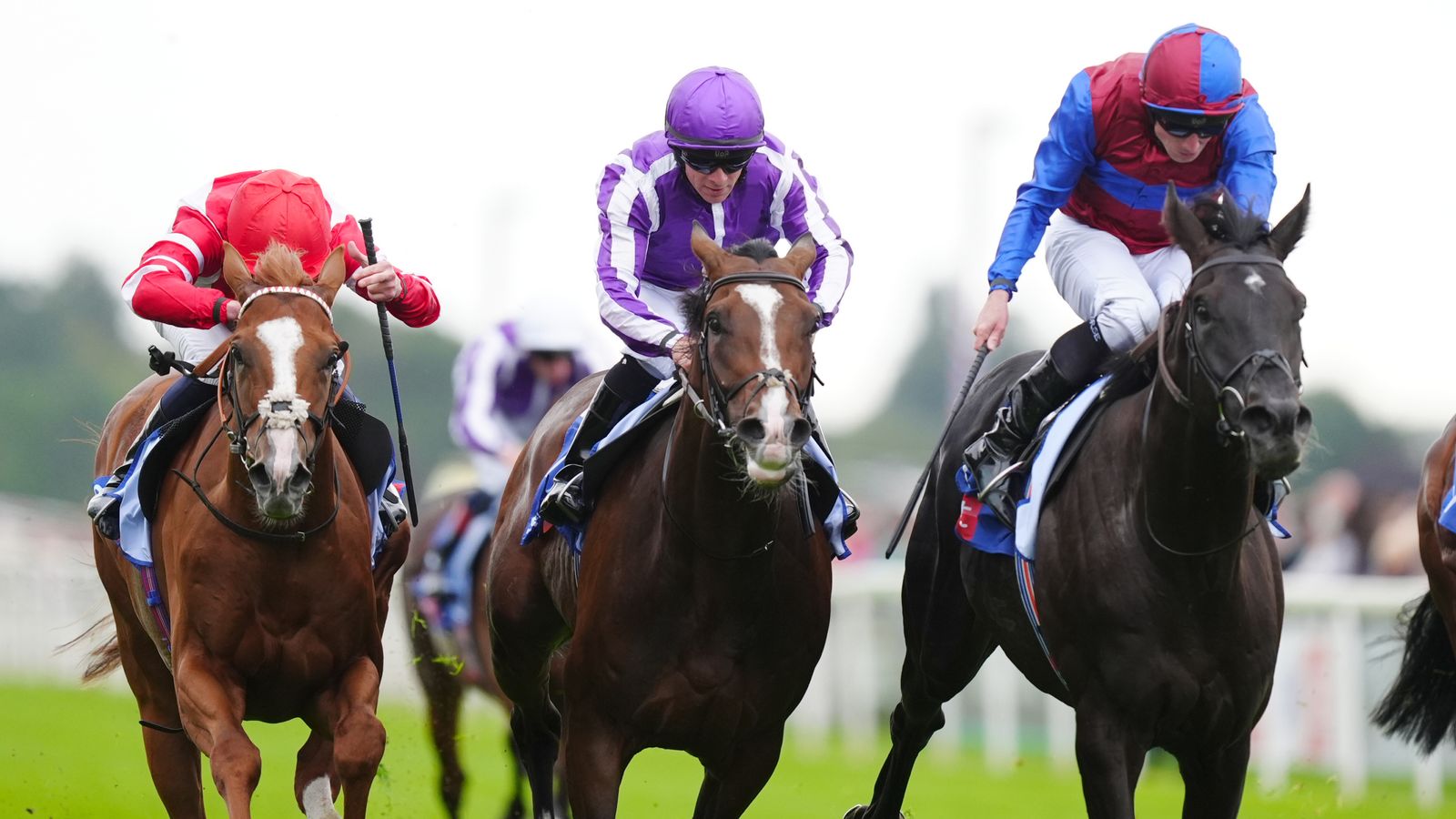 Prix de l'Arc de Triomphe live on Sky Sports Racing: Full runner guide ...