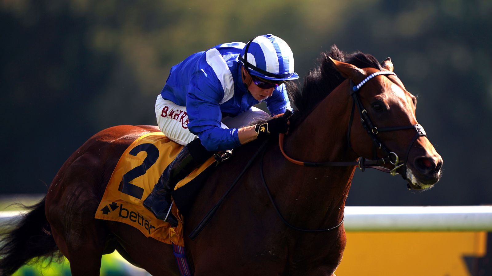 Saturday tips: Naqeeb fancied by Weekend Winners panel to strike gold ...