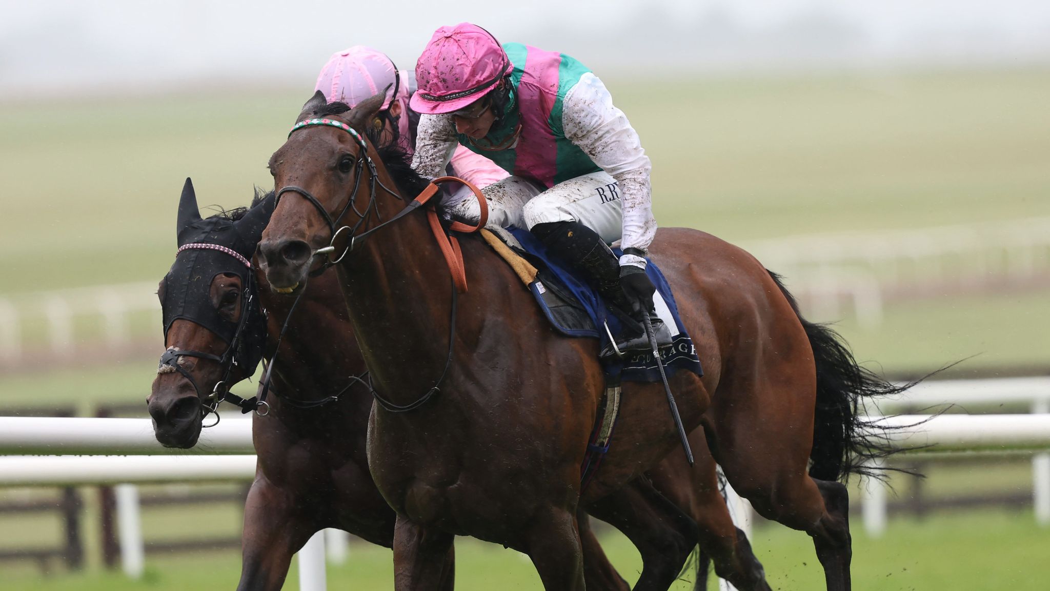 Prix de l'Arc de Triomphe: Bluestocking drawn in stall three for Sunday ...