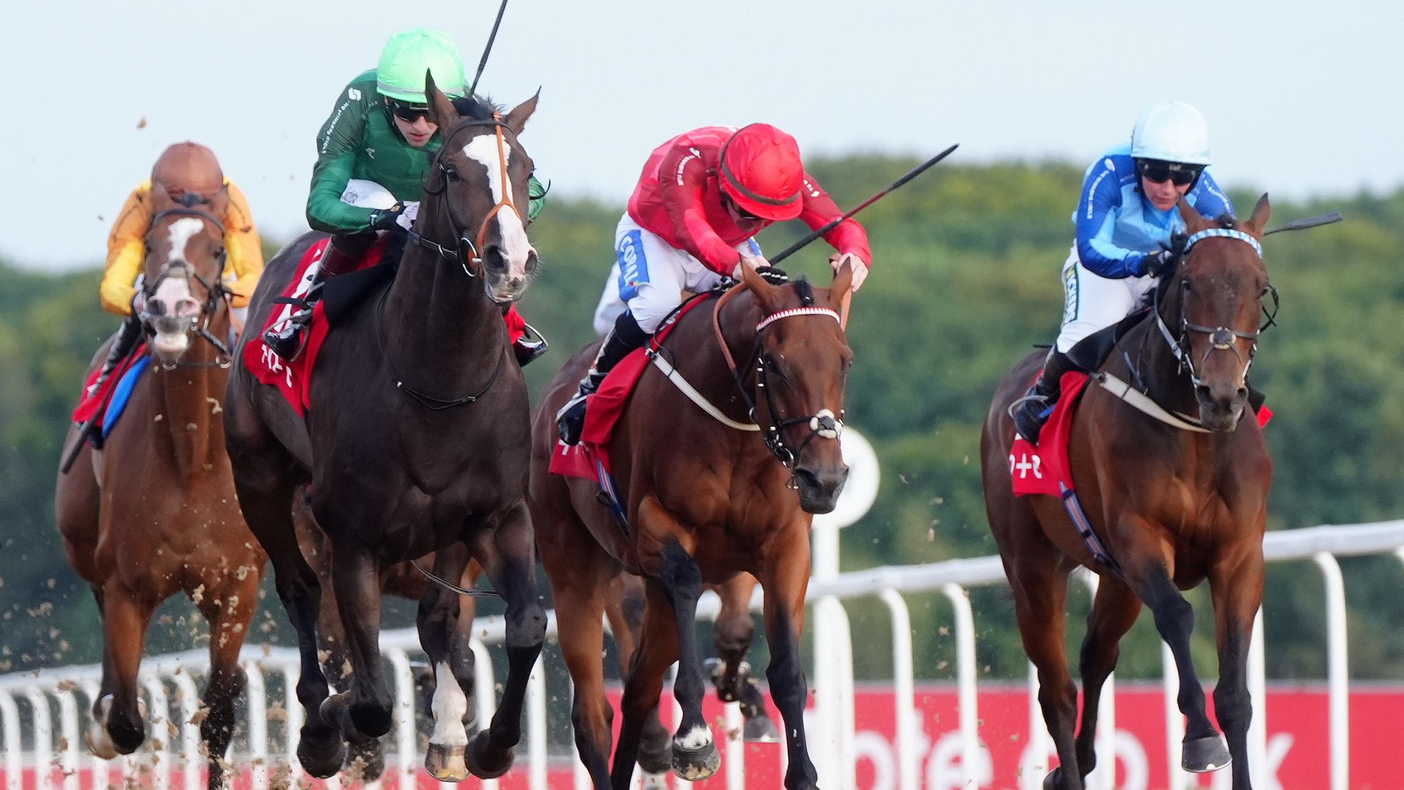 Racing League: Dream night for Team Ireland in Week 5 at Newcastle ...