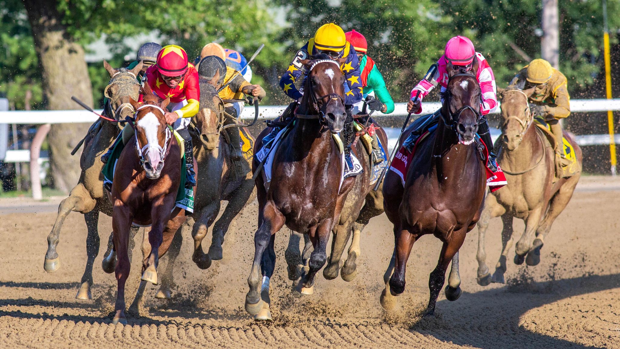 Today on Sky Sports Racing: Arthur's Ride goes for Gold Cup glory ...