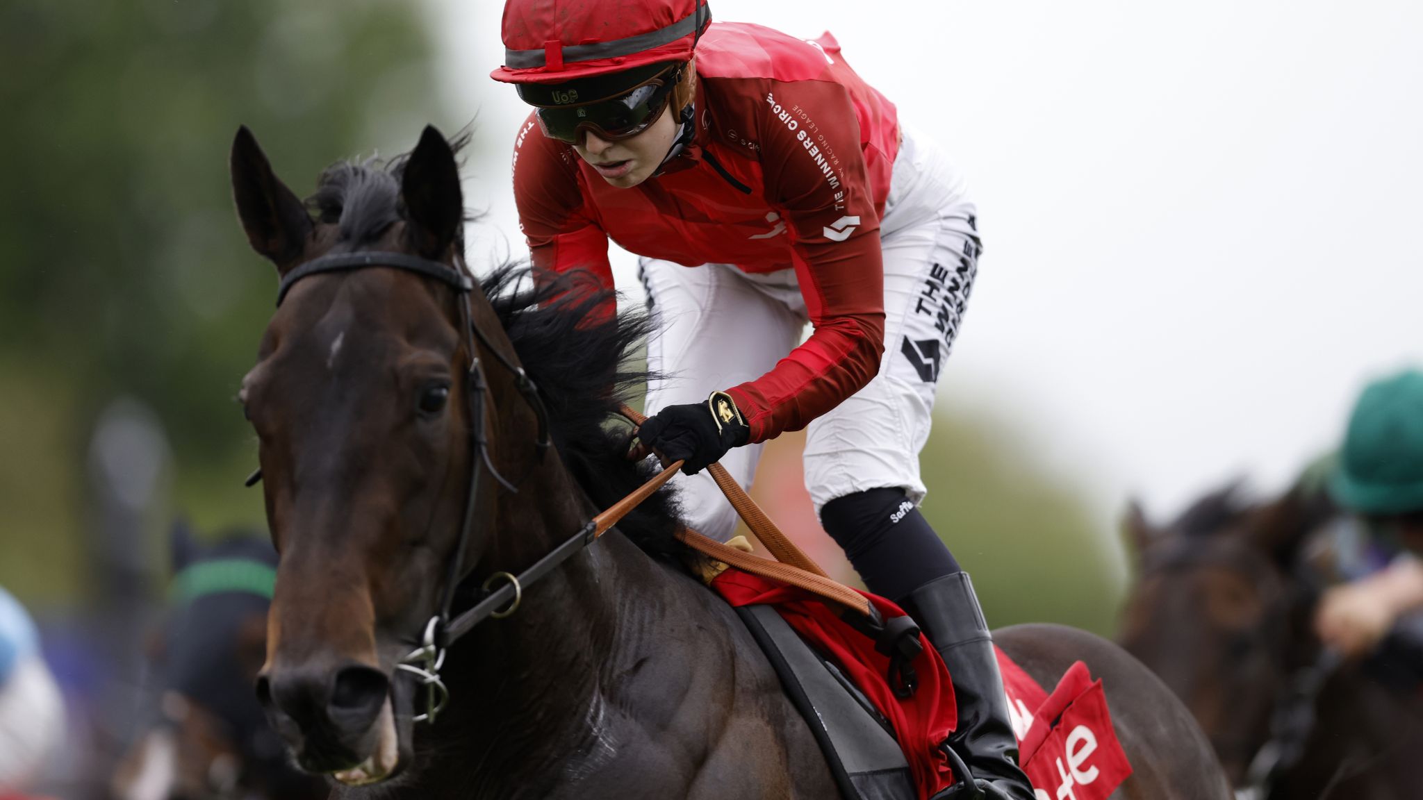 Racing League round-up: Wales and the West pounce on home soil on Week ...