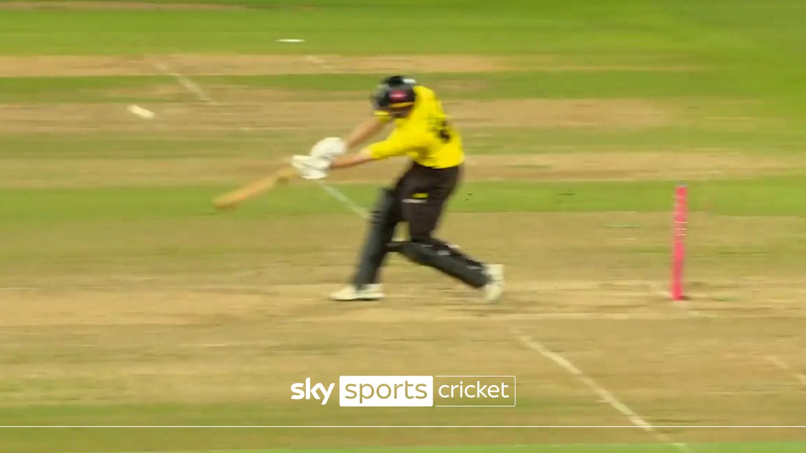 Gloucestershire's Miles Hammond smashes six to reach 50! | Cricket News ...