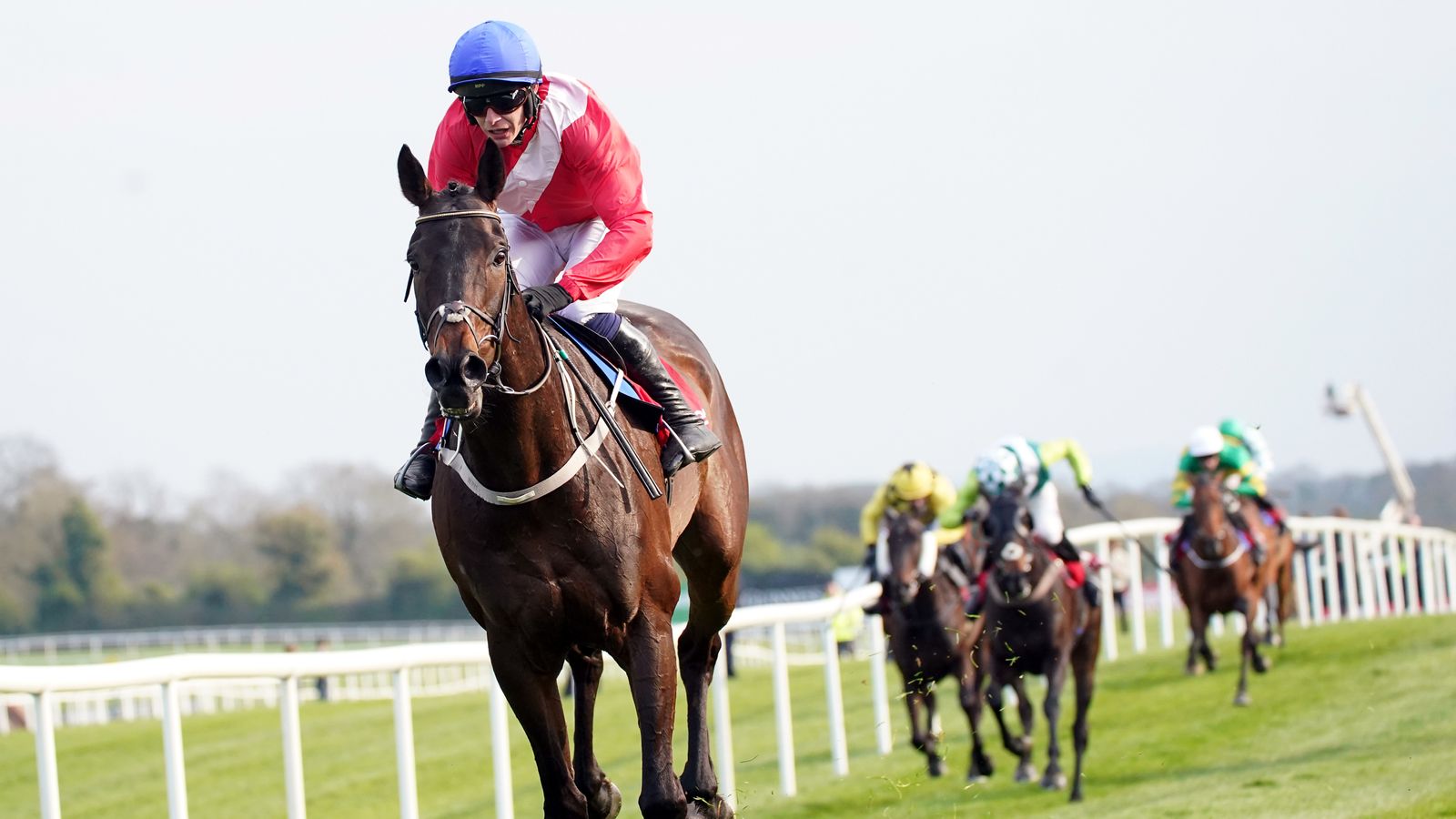 Allaho retired: Willie Mullins' stalwart and two-time Ryanair Chase ...