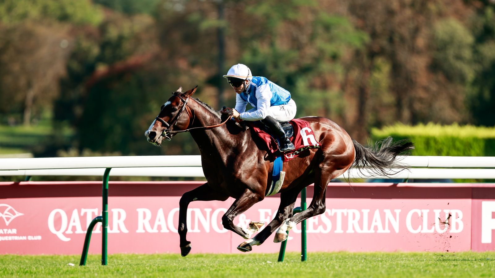 Prix de l'Arc de Triomphe tips: Outsider Aventure fancied to shake up ...