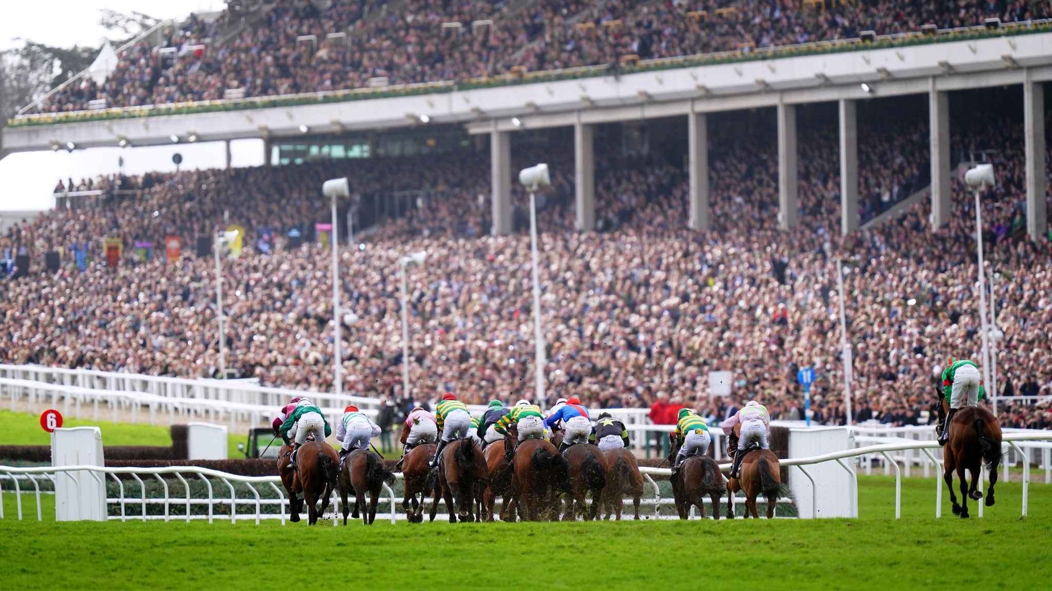 Cheltenham Festival best bets: Weekend Winners team pick out their ...