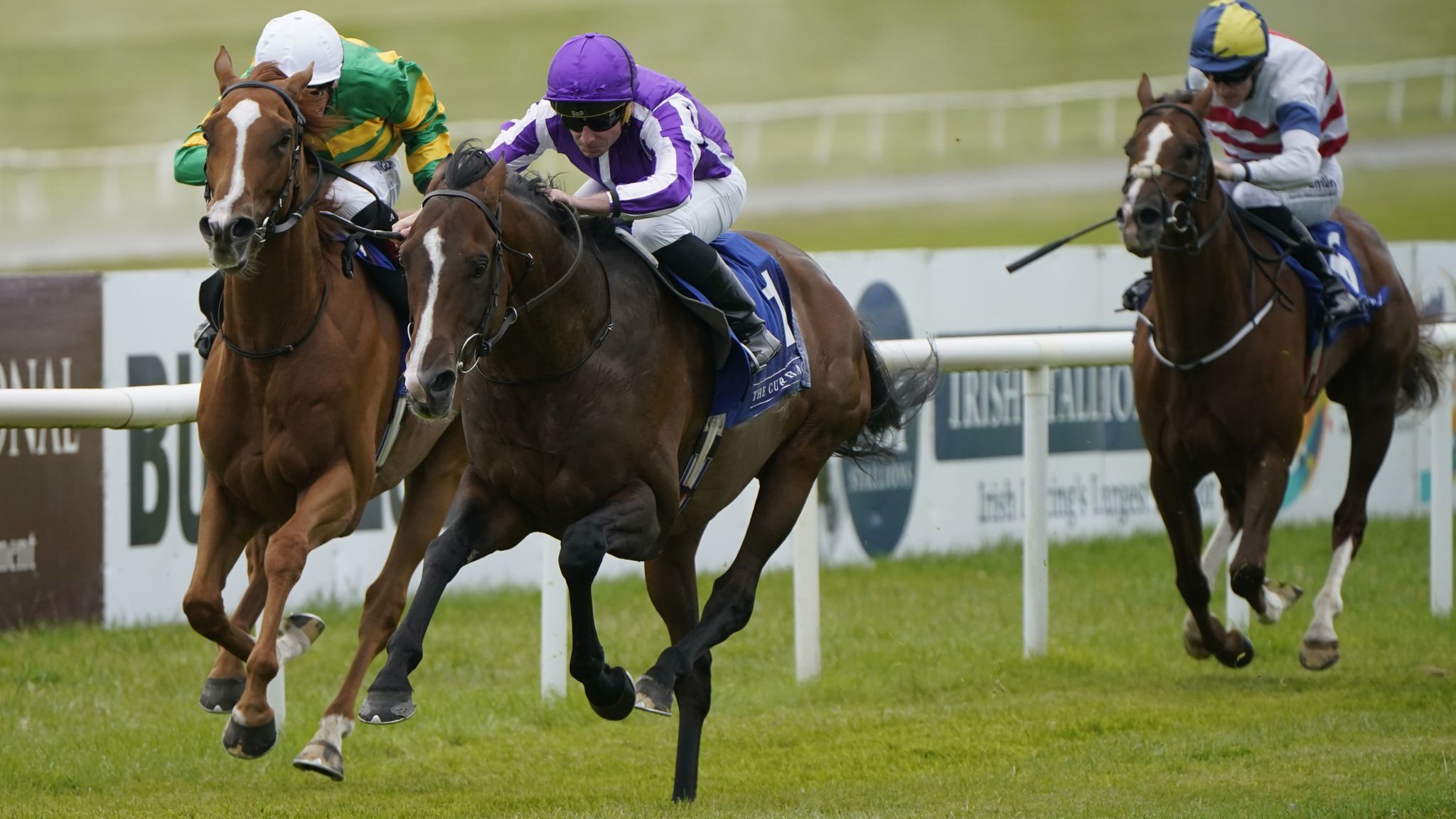 Prix de l'Arc de Triomphe live on Sky Sports Racing: Full runner guide ...