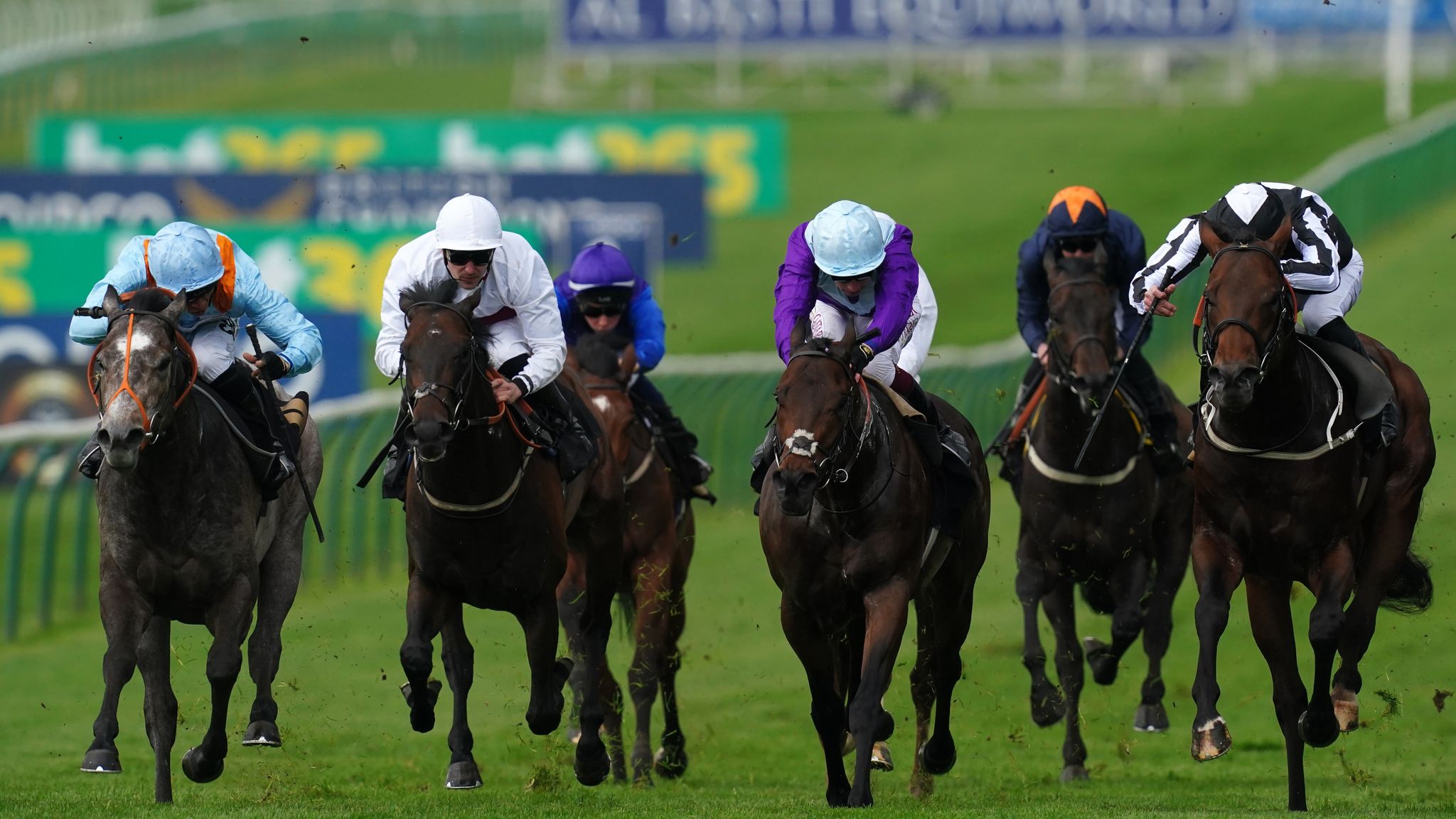 Weekend Winners: Betfair Sprint Cup Stakes best bets as Inisherin and ...