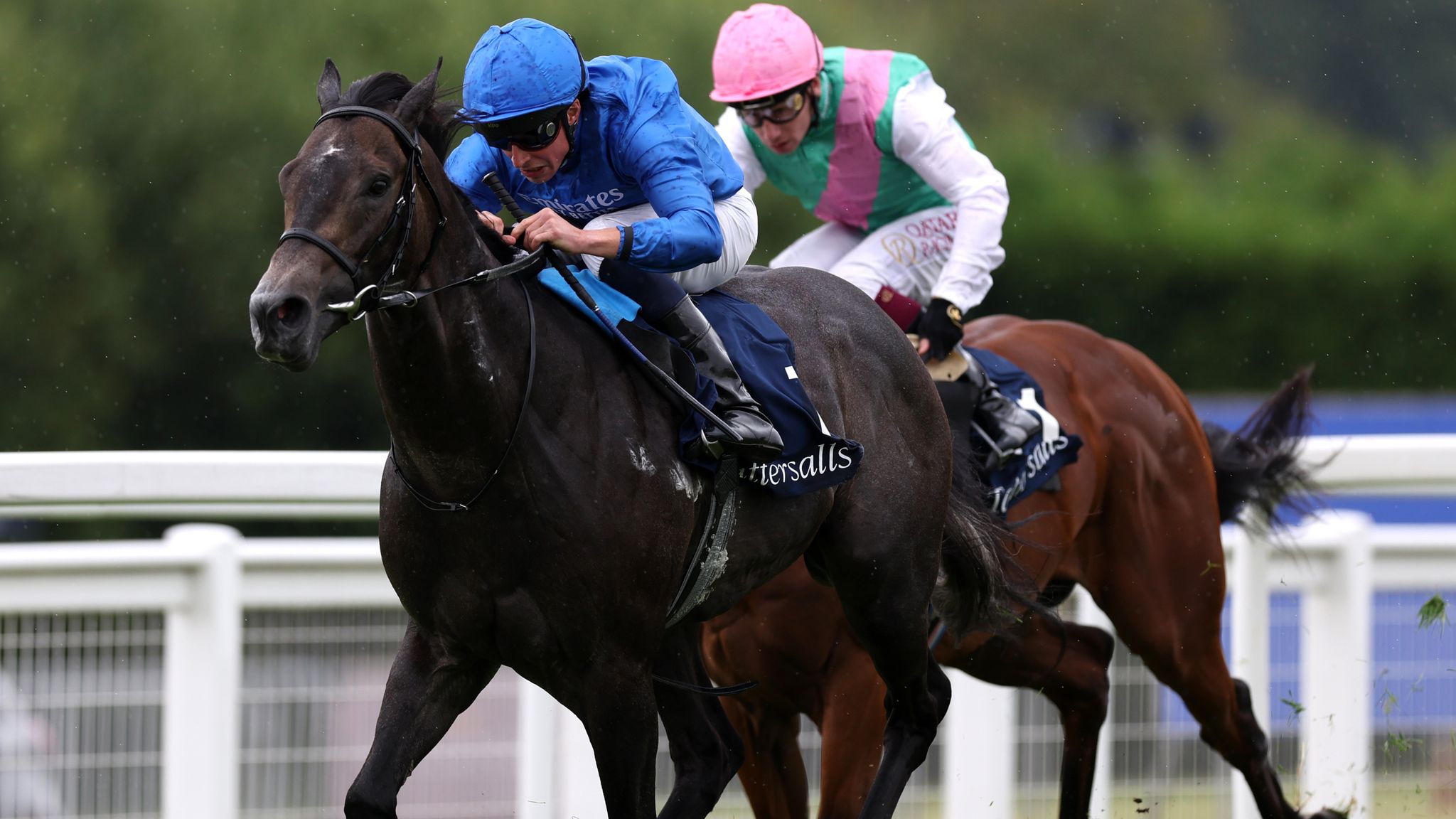 William Hill Futurity Trophy: A runner by runner guide to Doncaster's ...