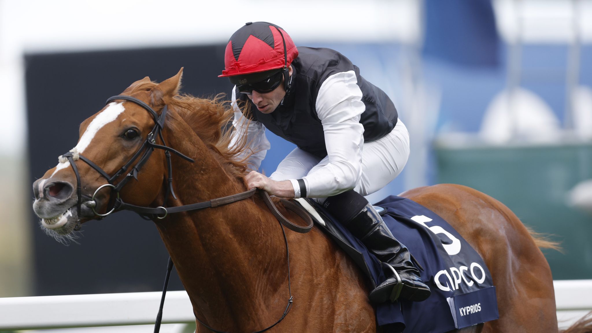 Champions Day: Magnificent seventh victory for staying star Kyprios at ...