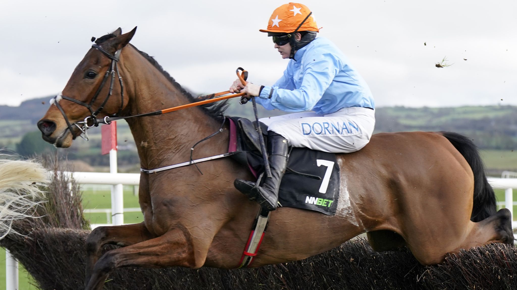 Coral Gold Cup: A guide to the runners in Saturday's Newbury feature ...