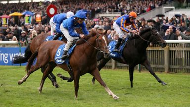Newmarket: Shadow Of Light storms home to shade tight Dewhurst tussle ...