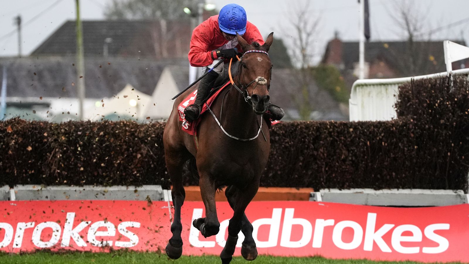 Racing round-up: Envoi Allen 'in mighty form' ahead of Cheltenham ...