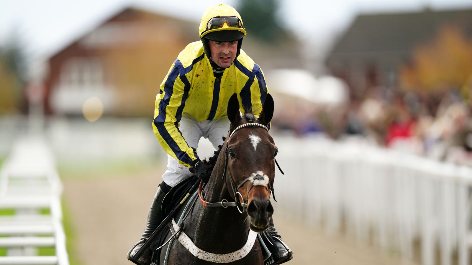 Cheltenham: Burdett Road to eye Champion Hurdle following Greatwood ...