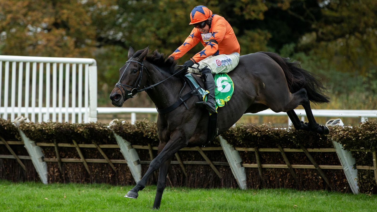 The Real Whacker returns to top form with Charlie Hall Chase win at ...