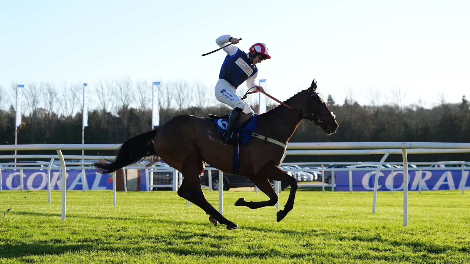 John Francome: The Jukebox Man proves a big hit on chasing debut at ...