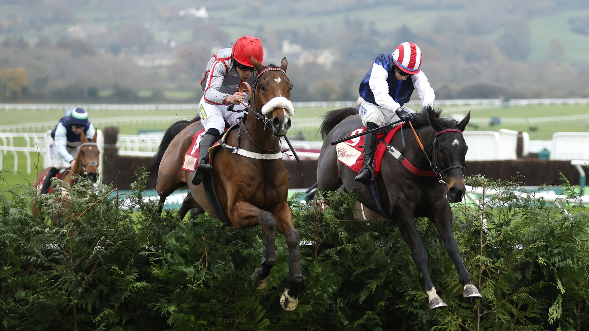 Businesslike Jonbon makes it back-to-back Shloer Chase victories at ...