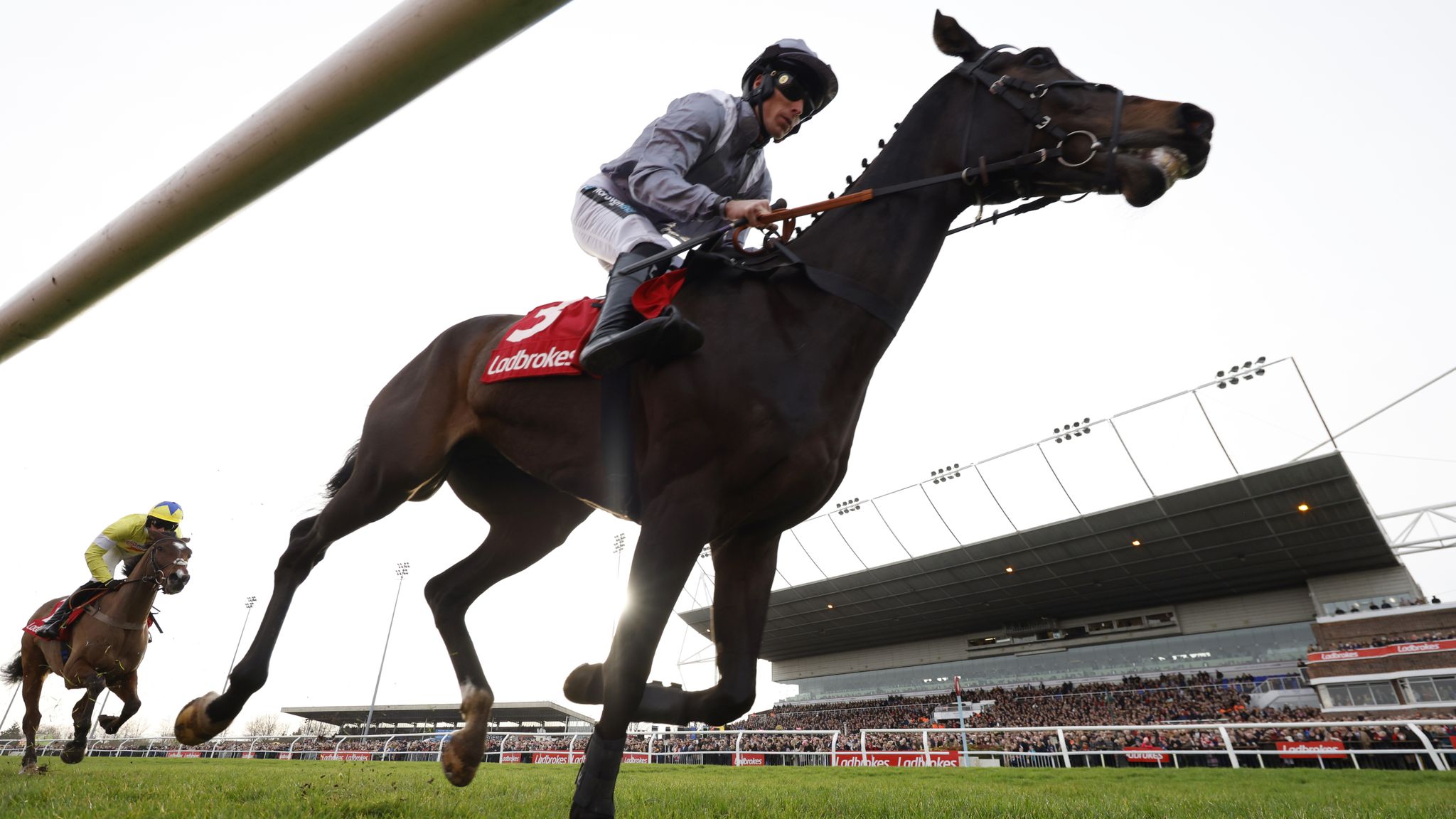 King George VI Chase: Il Est Francais given green light for Kempton ...
