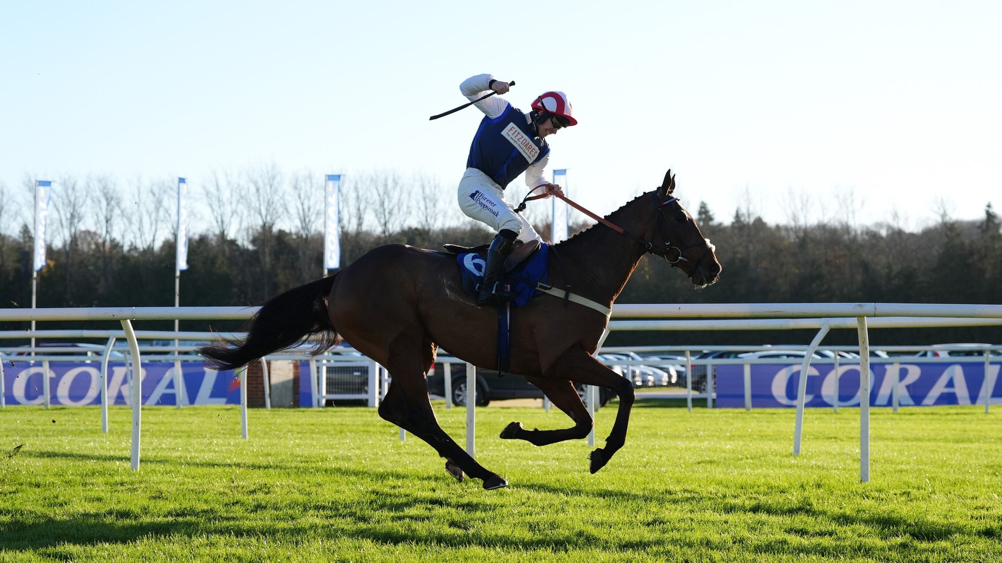 John Francome: The Jukebox Man proves a big hit on chasing debut at ...